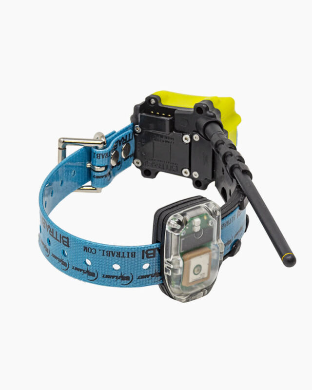 Collare GSM GPS per cani da caccia MITO 5300 PRO - BITRABI